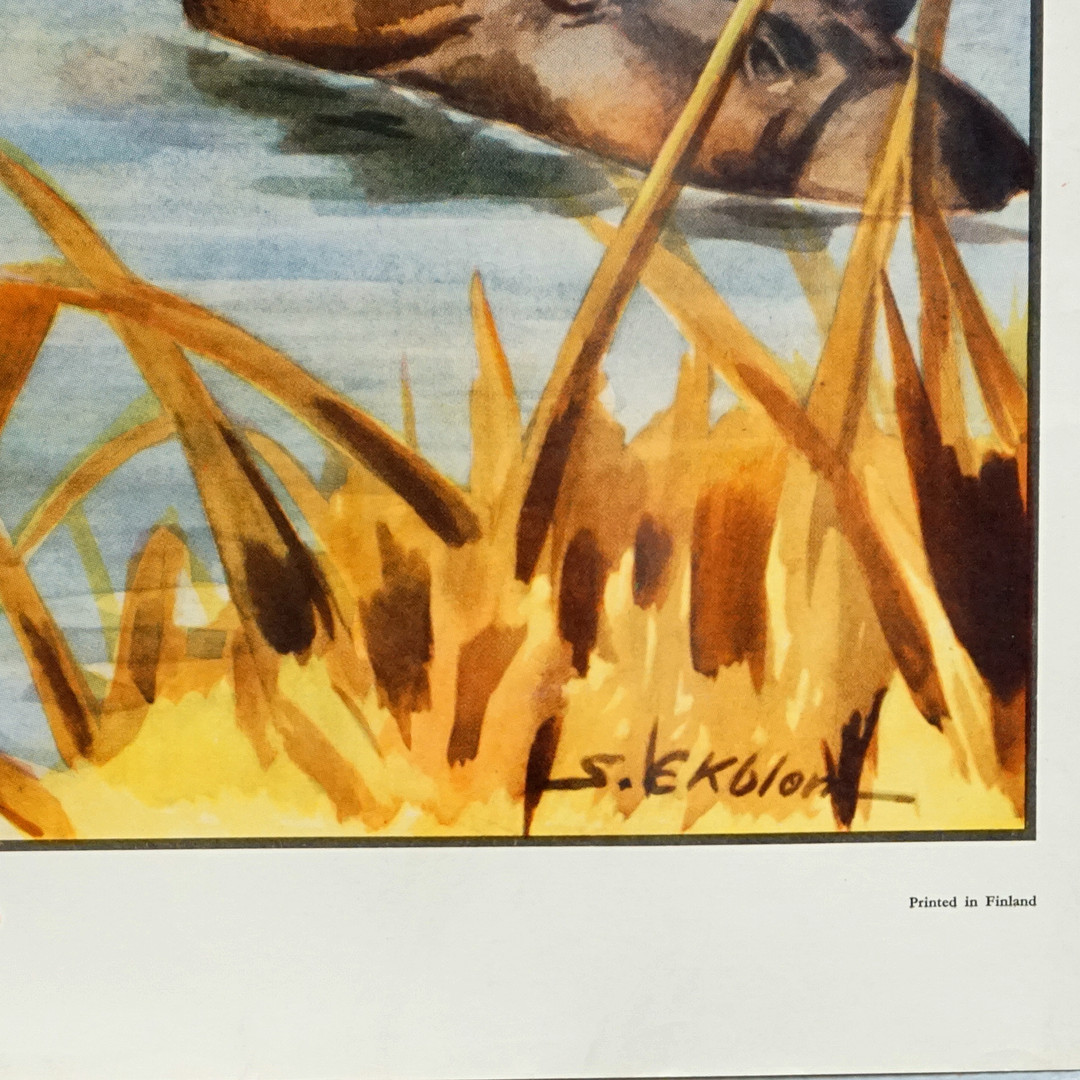 Bilder zu 2282464. PLÄNE 16, AQUARELL signiert Stig Claes und ...