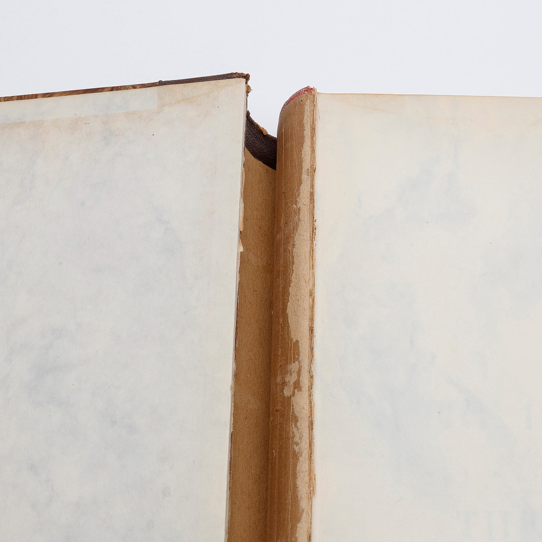 Images for 2296648. RACE BIOLOGY. THE RACIAL CHARACTERS OF THE SWEDISH ...