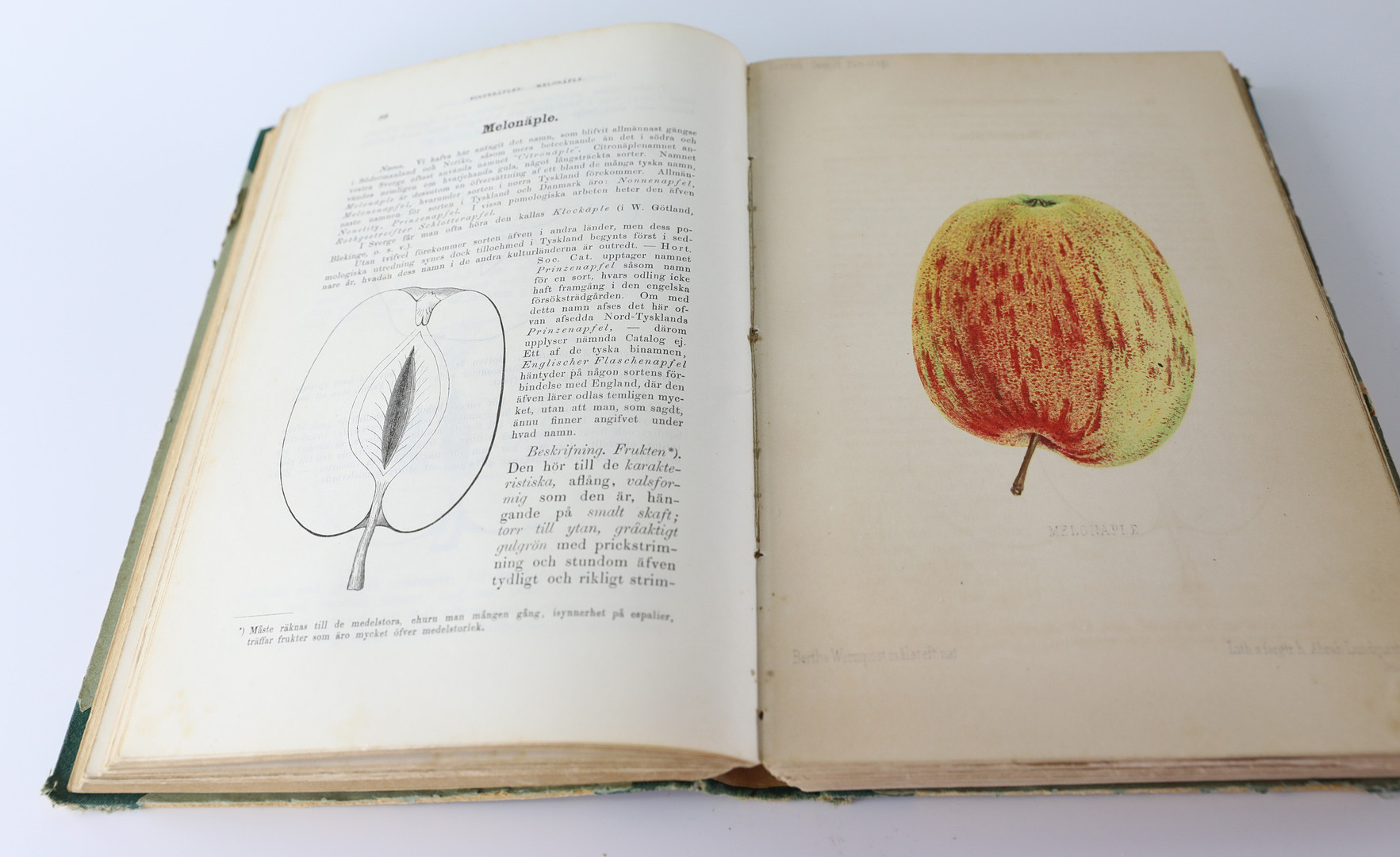 Images for 2430846. BOOK. SWEDISH POMOLOGY. Olof Eneroth - Handbook of ...