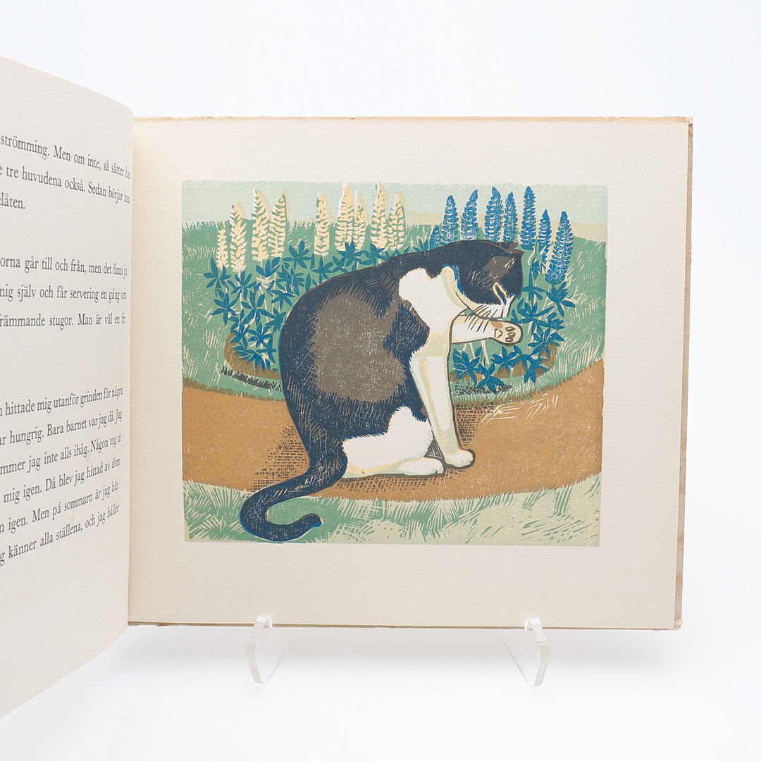 Bilder för 2517025. EVA VON ZWEIGBERGKS OCH SVEN LJUNGBERGS OSKAR KATT ILLUSTRERAD MED ...