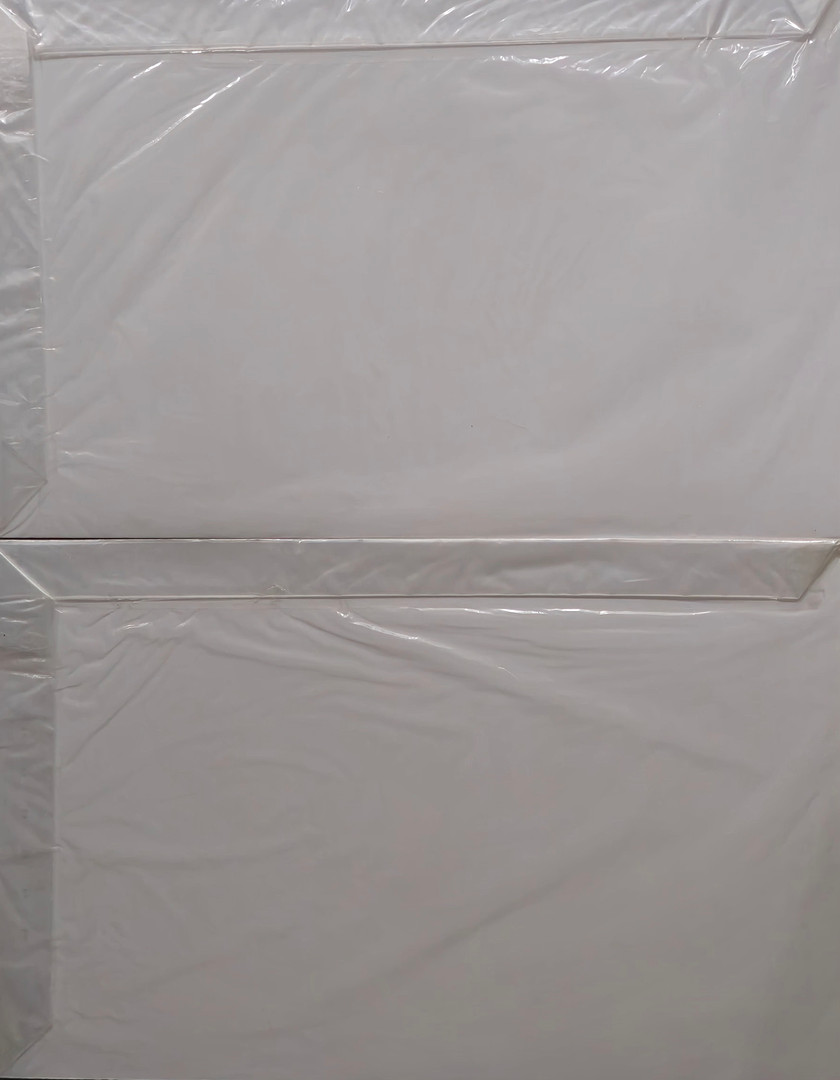 Images for 4455912. PAIR OF ORIENTAL LITHOGRAPHS. DRAWINGS WITH CHINESE ...