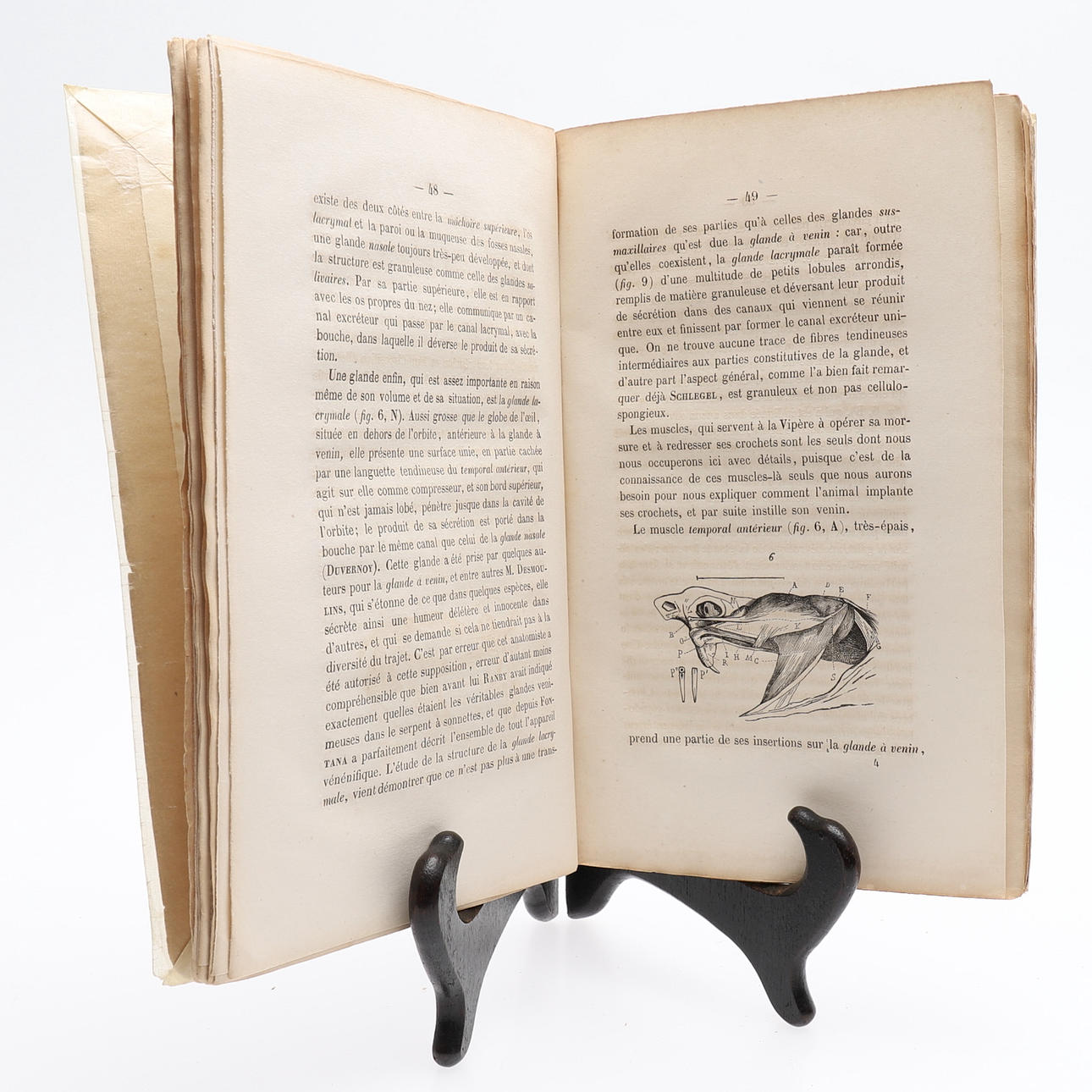 HERPETOLOGY. DE LA VIPÈRE DE SON VENIN ET DE SA MORSURE 1855. Books ...