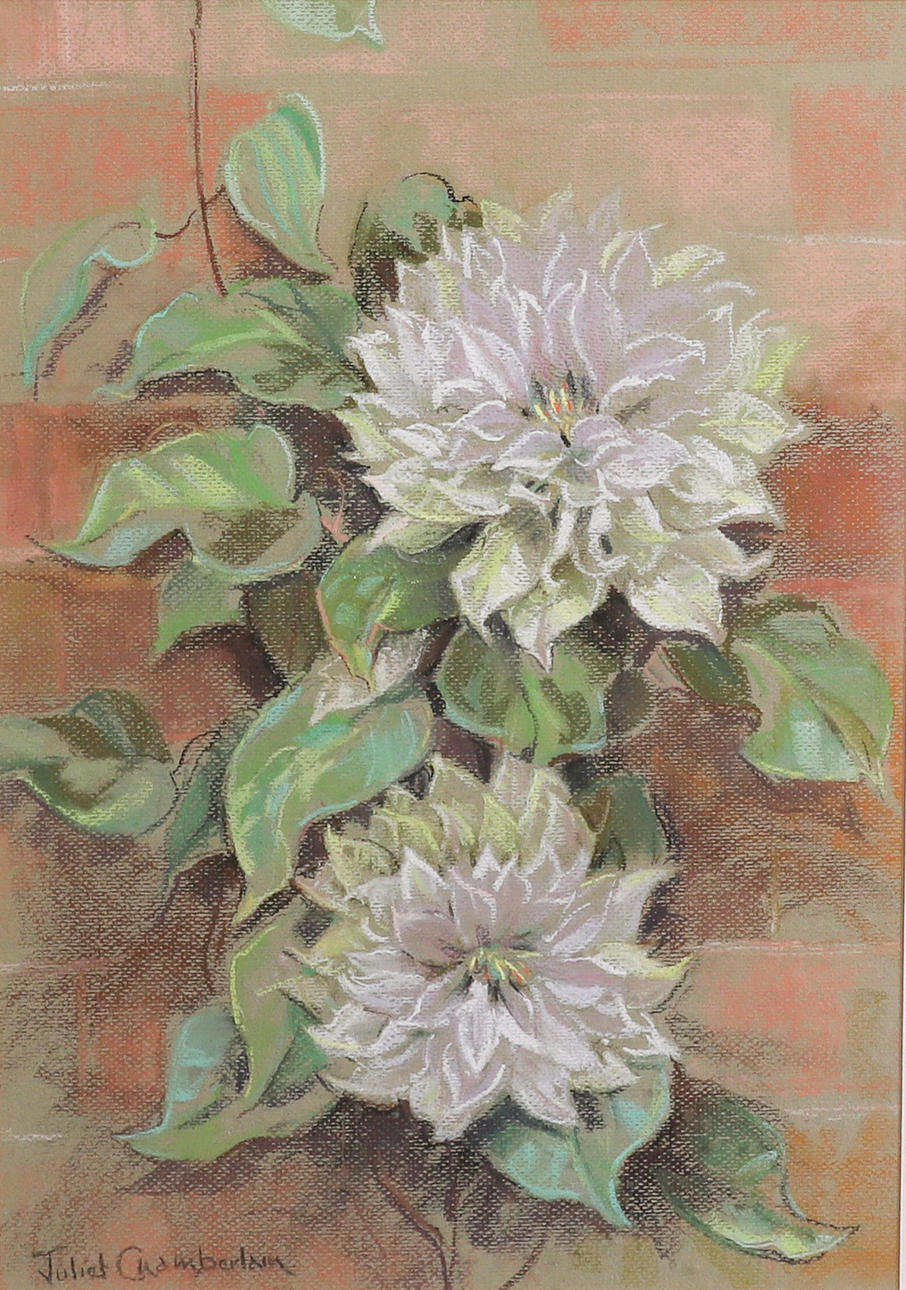 JULIET CHAMBERLAIN (BRITISH, 20TH CENTURY). CLEMATIS 'BELLE OF WOKING ...