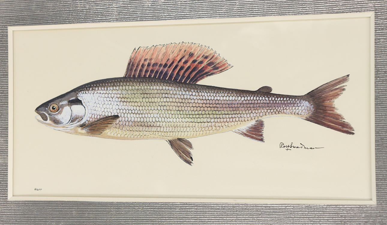 ROLF SMEDMAN, HARR. Konst - Måleri - Auctionet