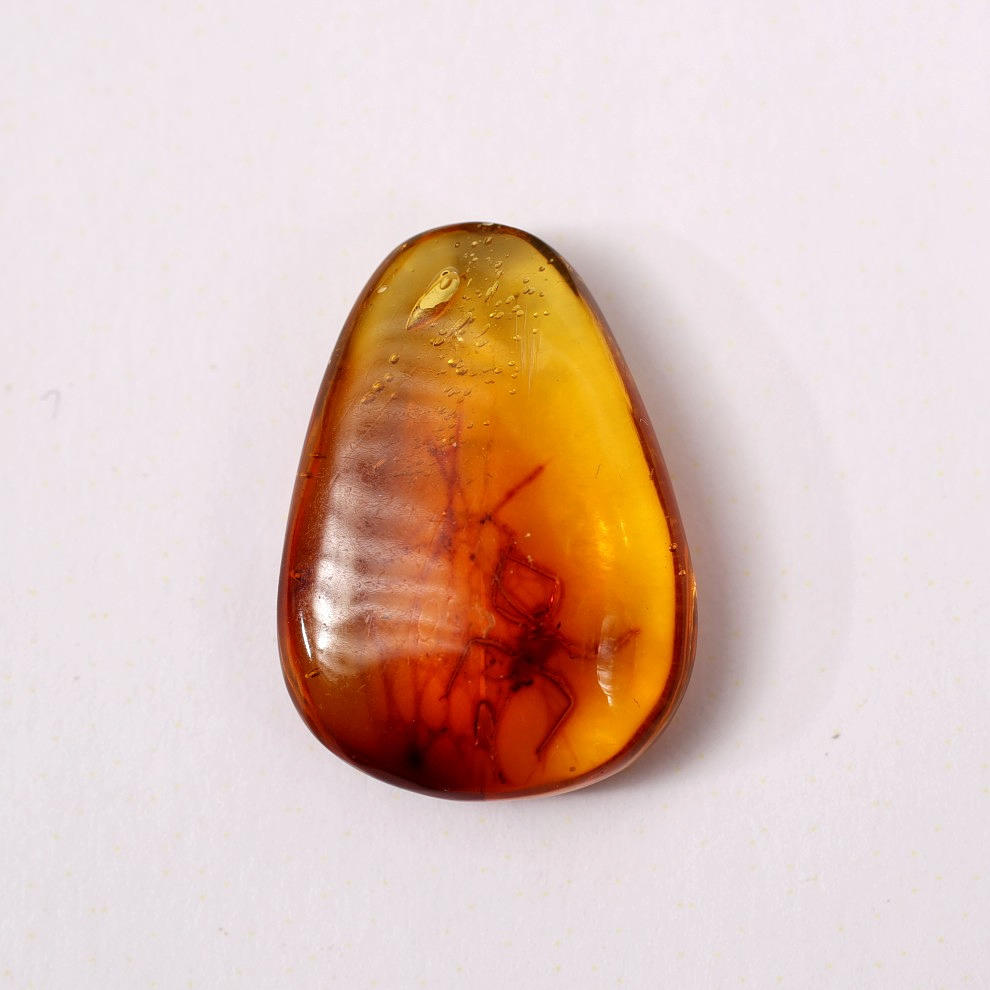 BÄRNSTEN MED INSEKT. Smycken & Ädelstenar - Preciosa & Övrigt - Auctionet