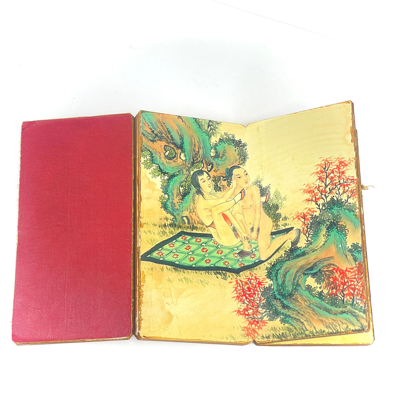CHINESE FOLDING BOOK. Asiatica - Auctionet