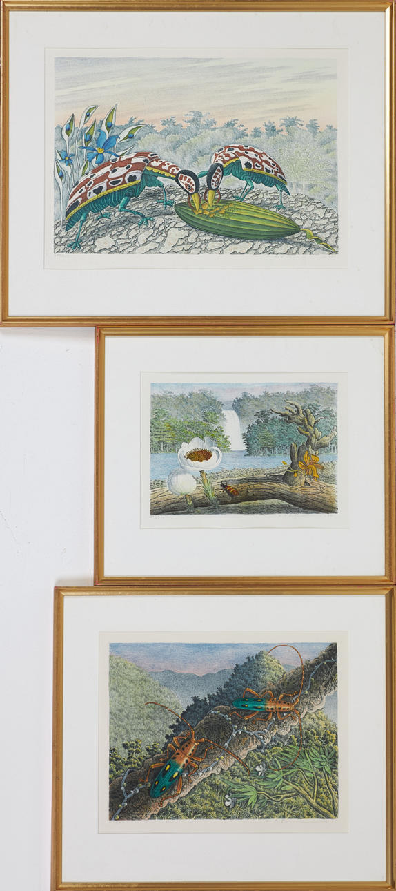 KARL AXEL PEHRSON. Kompositioner exotiska växter och insekter ...