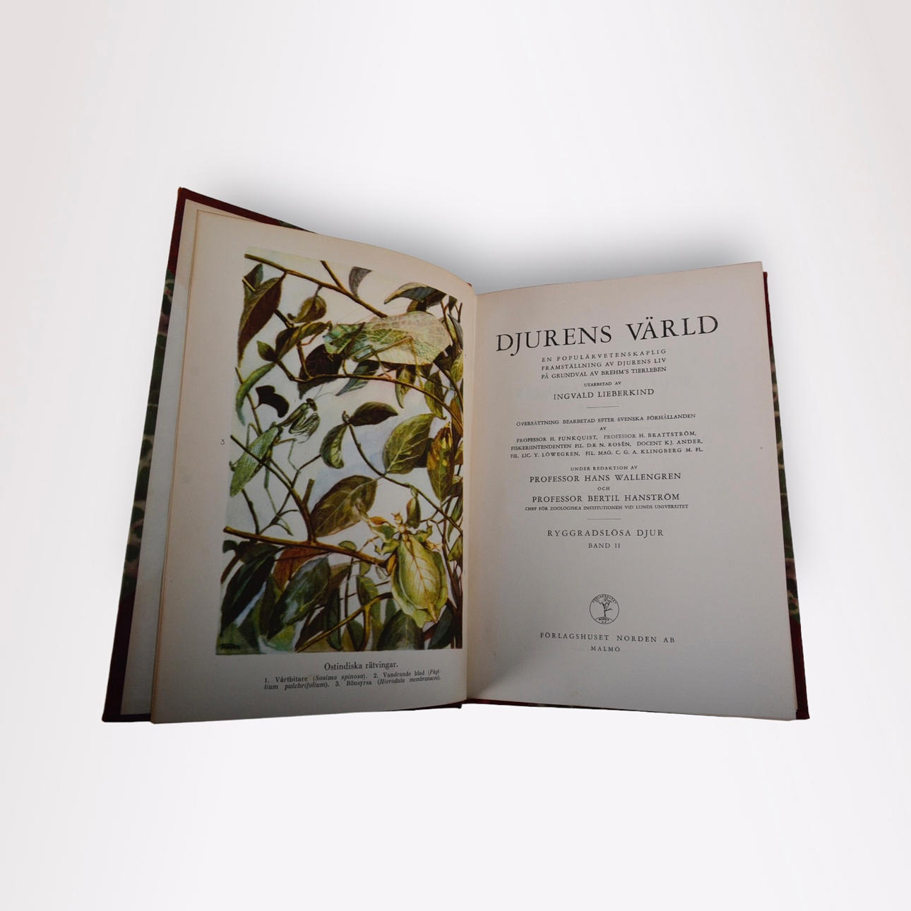 BÖCKER, Djurens Värld. Böcker, Kartor & Handskrifter - Böcker - Auctionet