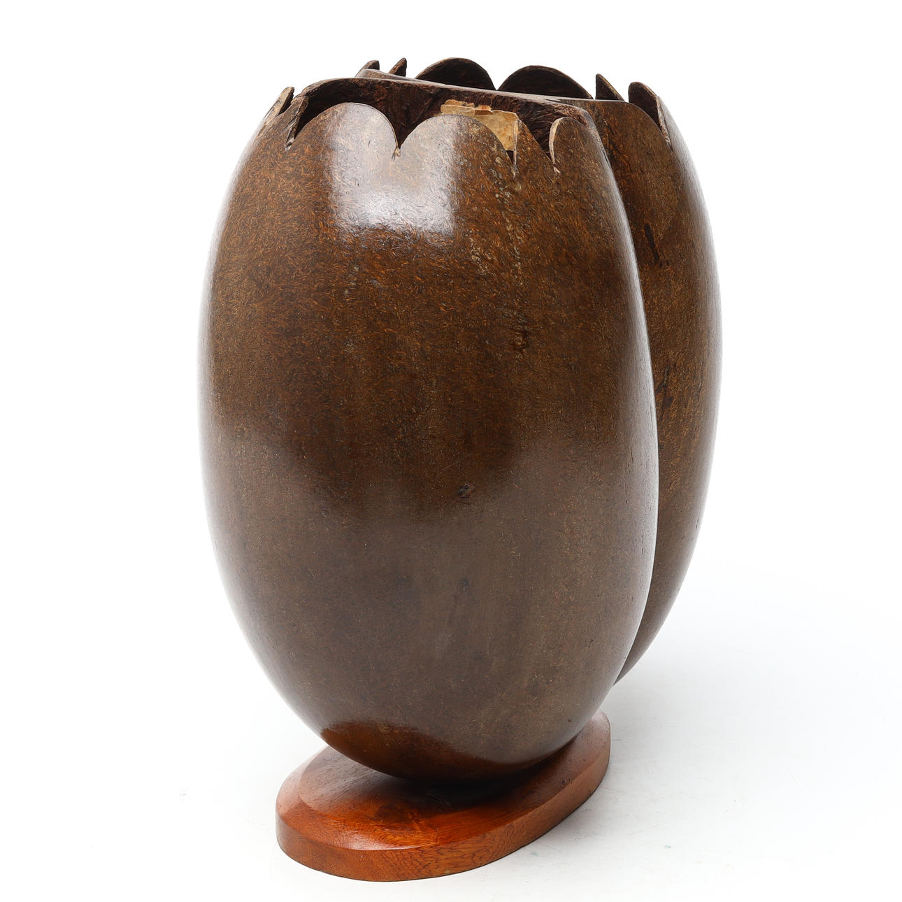 COCO DE MER, dubbel kokosnöt. Konst - Skulptur - Auctionet