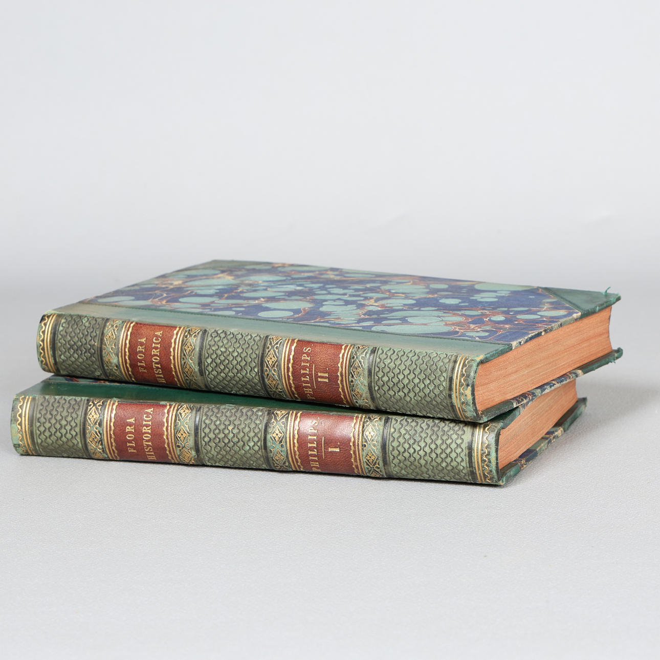 HENRY PHILLIPS FHS "FLORA HISTORICA OR THE THREE SEASONS OF THE BRITISH ...