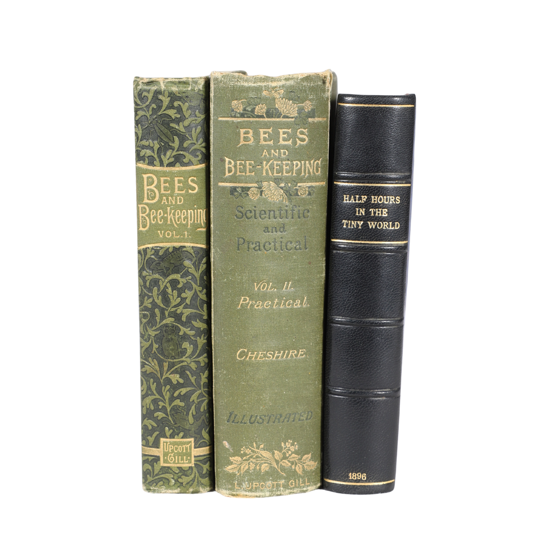 FRANK R. CHESHIRE. Bees & Bee-Keeping; Scientific and Practical, 2 ...