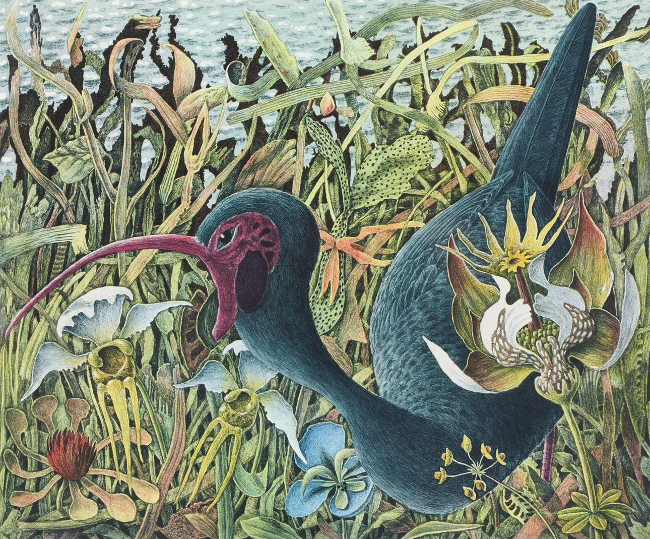 KARL AXEL PEHRSON (1921-2005), "Colquine", 1986, signerad och numrerad ...