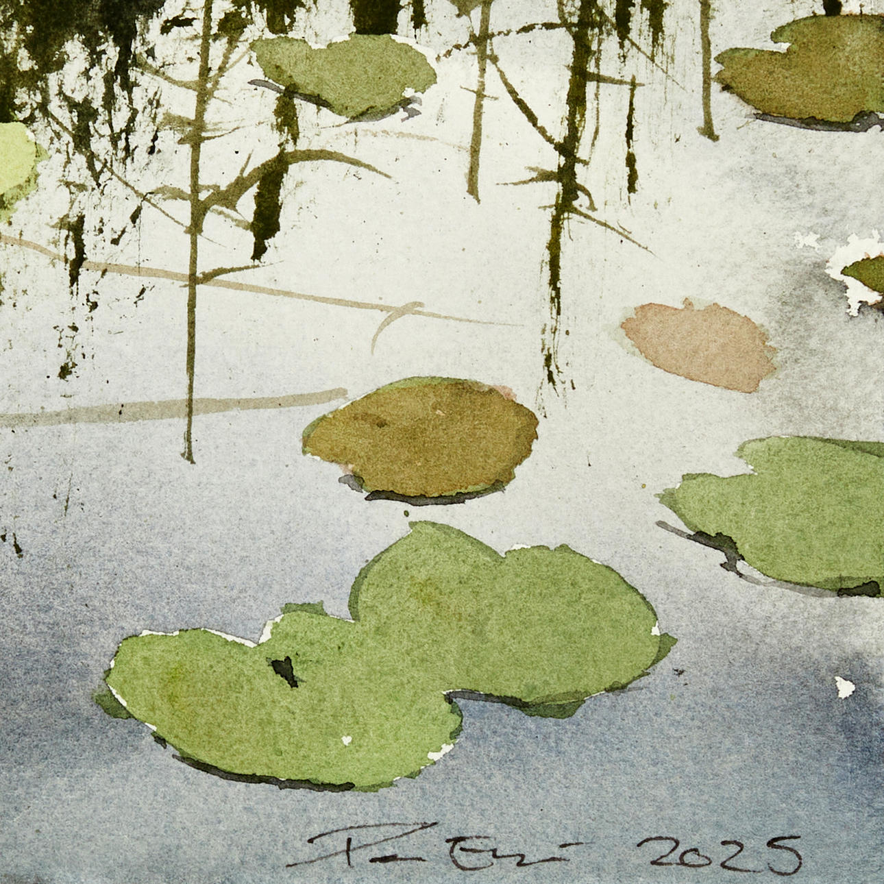 PETER EUGÉN (born 1978). Water lilies against green water mirror ...