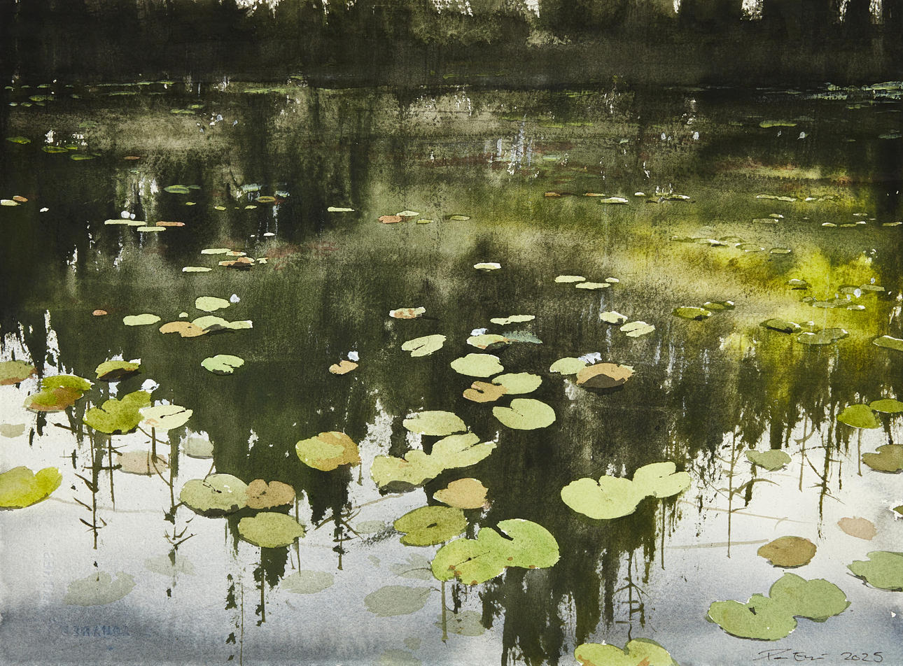 PETER EUGÉN (born 1978). Water lilies against green water mirror ...