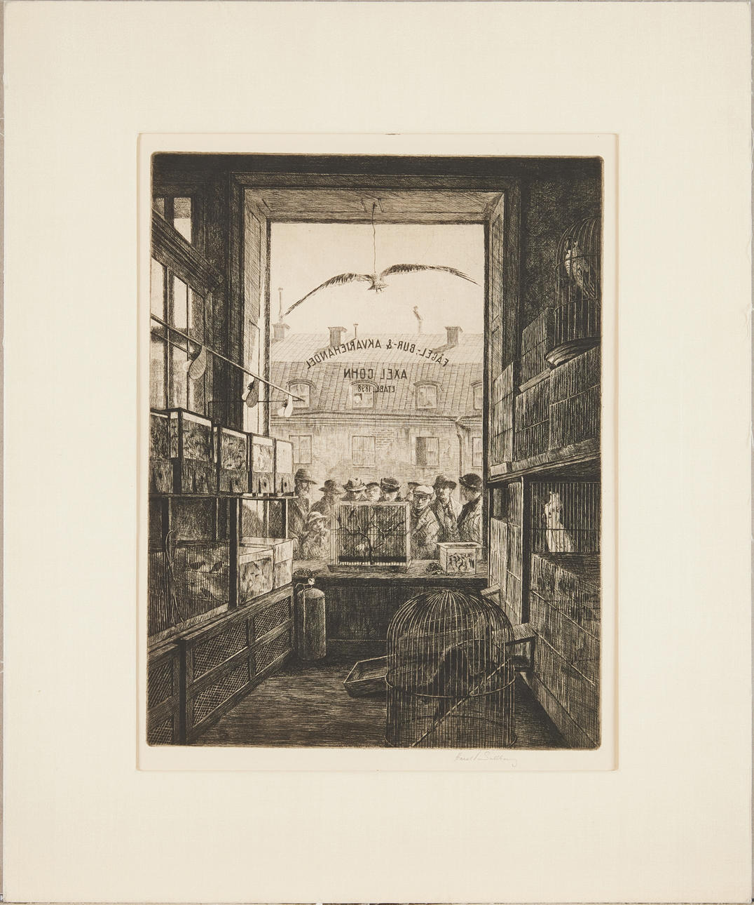 HARALD SALLBERG. “The Bird Trader”, etching, signed. Art - Engravings ...