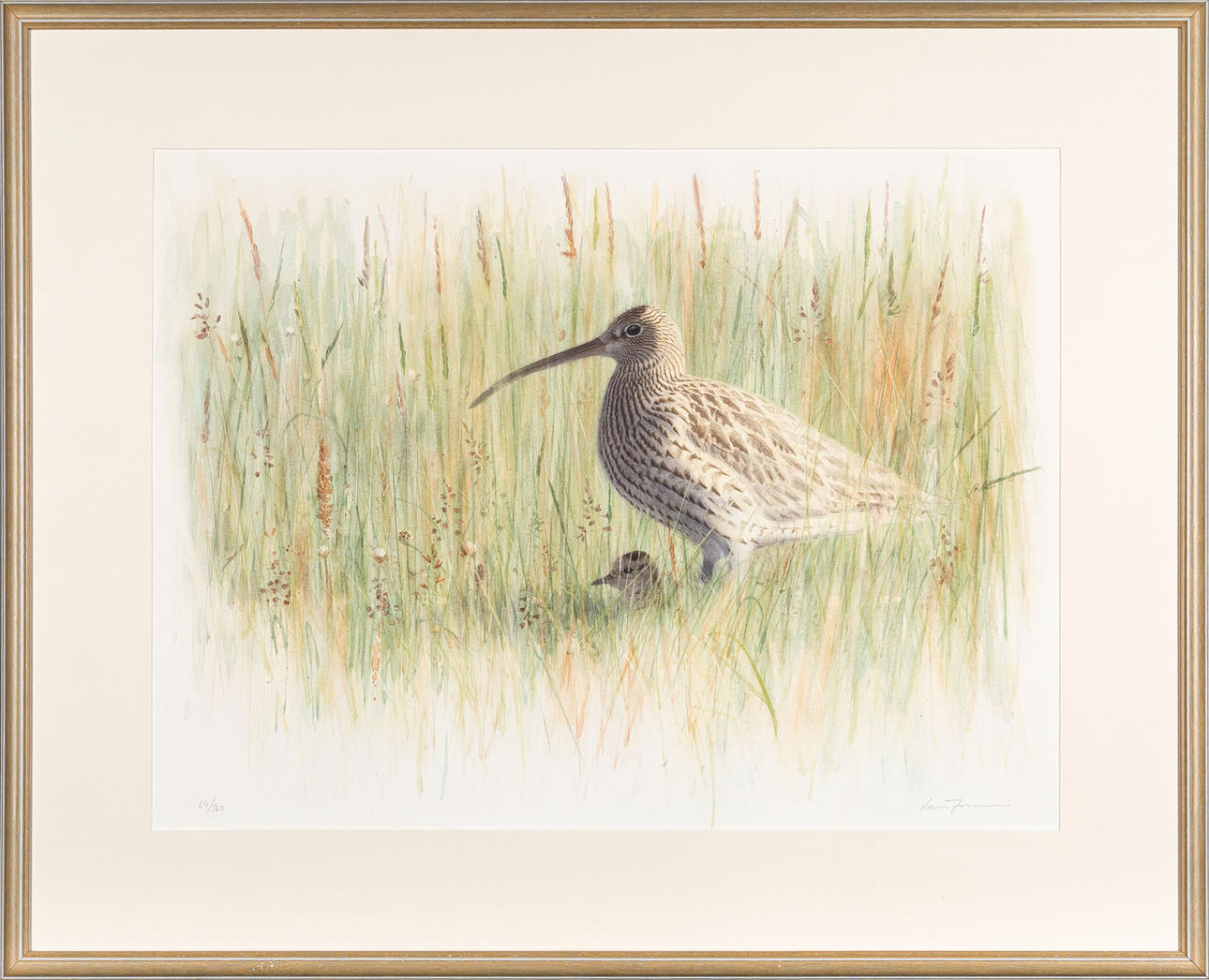 LARS JONSSON. Lithograph in colours, Storspov with young, Signed and ...