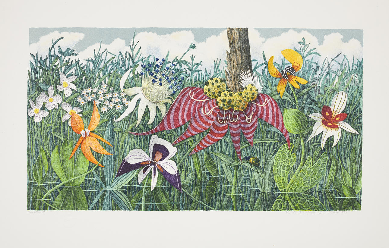 KARL AXEL PEHRSON. Exotiska blommor, färglitografi, signerad och ...
