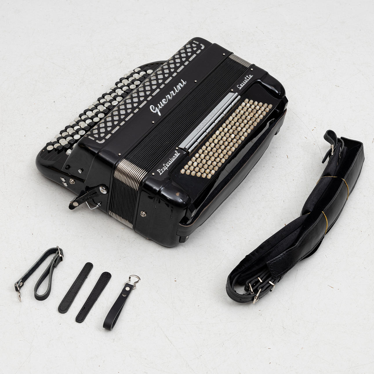 Accordion, 3-string, Professional Cassotto Master, Guerrini, Italy ...