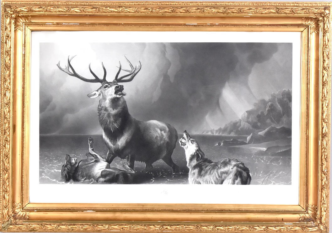 EDWIN LANDSEER. EFTER. stålgravyr, "Stag at Bay". Konst - Grafik ...