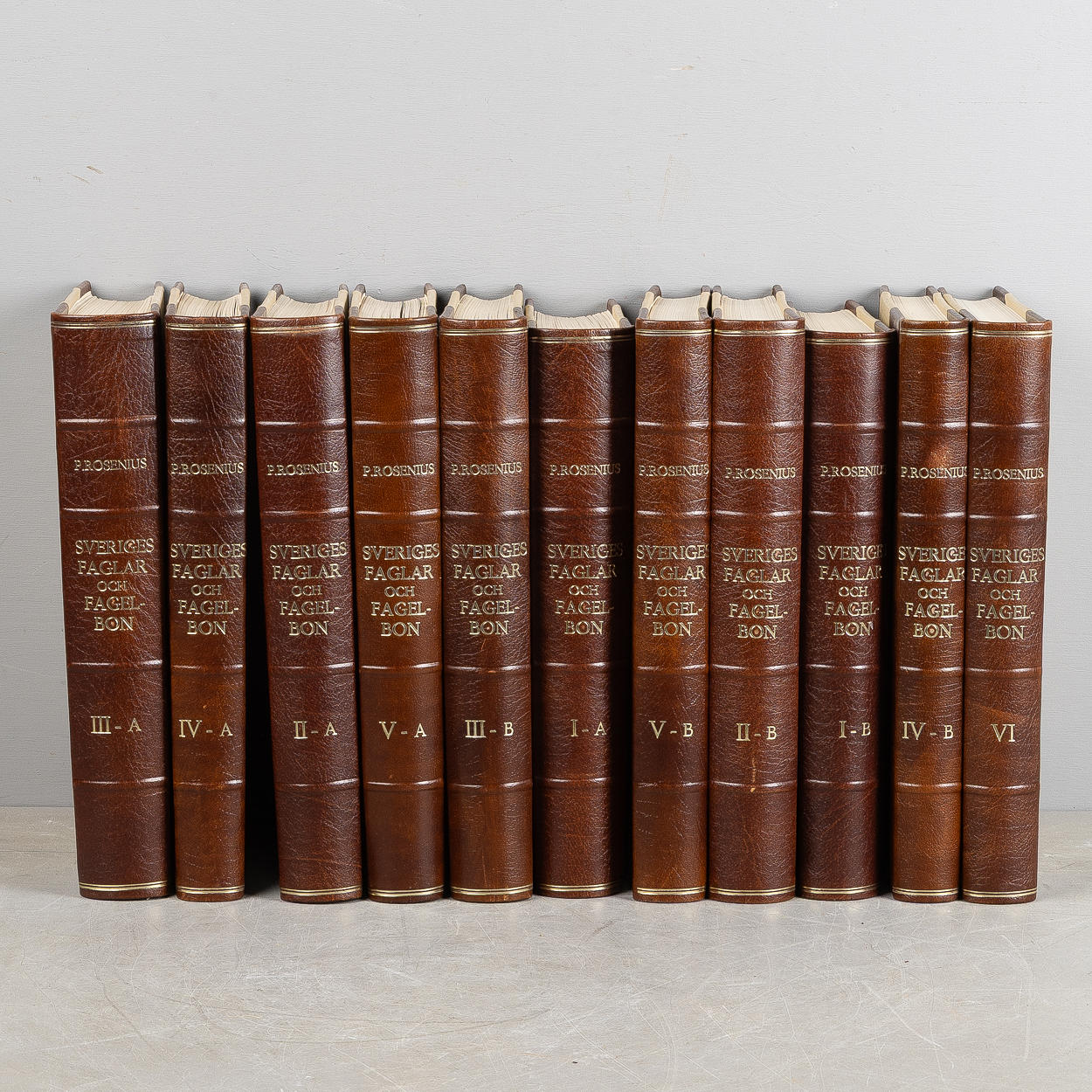 SVERIGES BIRDS AND BIRD NESTS, 11 bands, Paul Rosenius, C. W. K ...