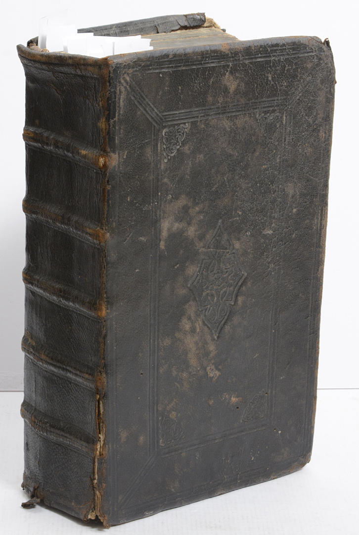 Chrynika Carionis, from the beginning of the world, in til keyser Carl ...