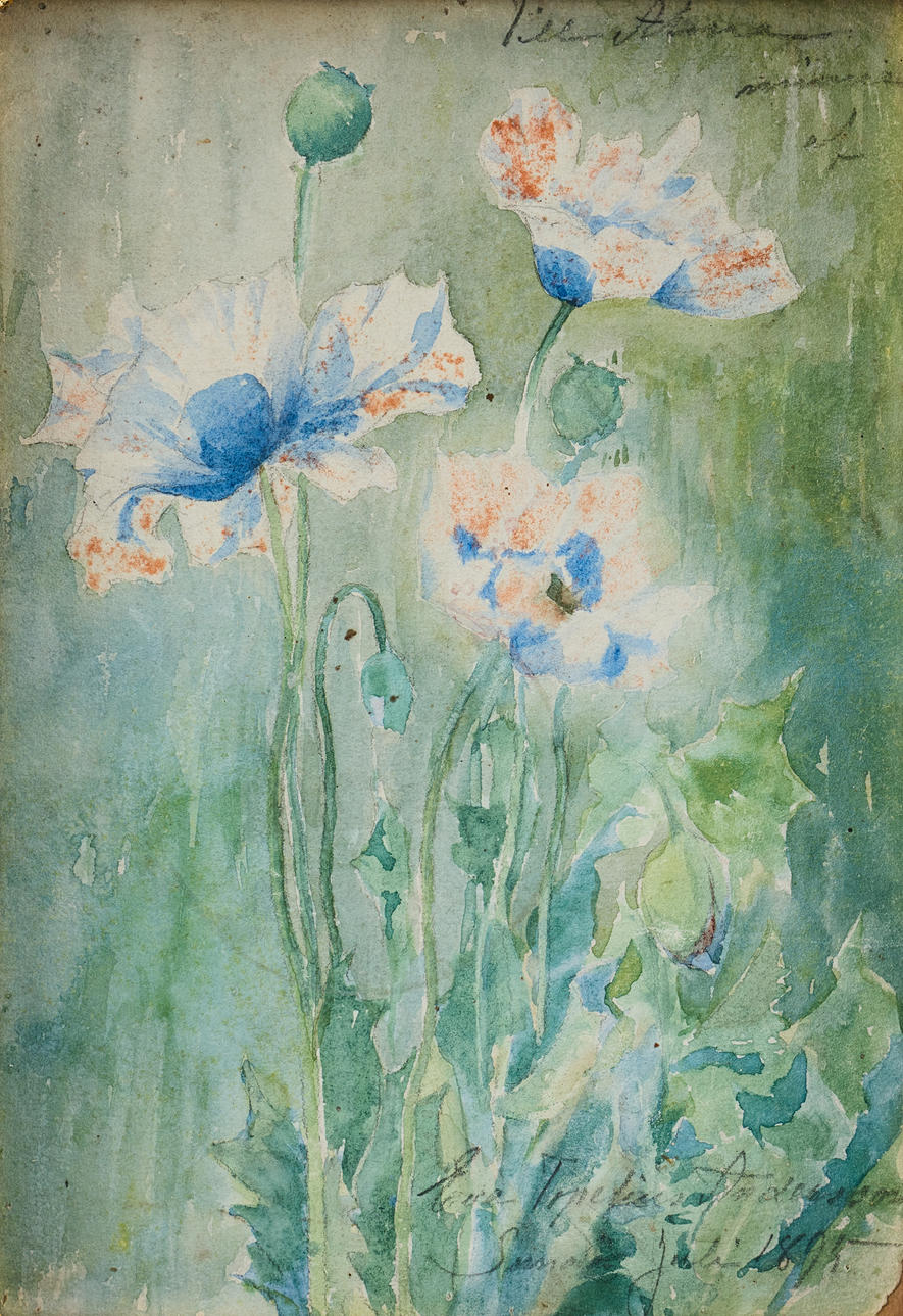 EVA ACKE (ANDERSSON TOPELIUS) 1855-1929. Blommande Vallmo. Konst ...
