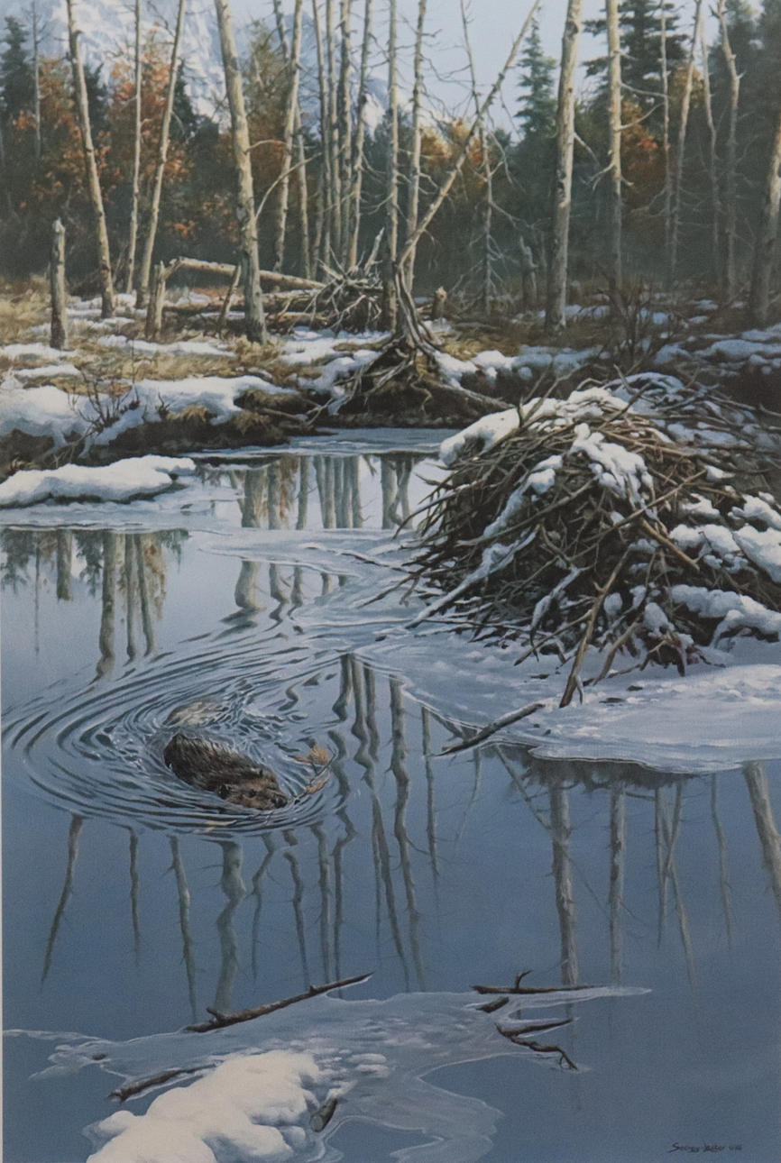 John Seerey-Lester, litografi, "Before the Freeze - Beaver". Konst ...