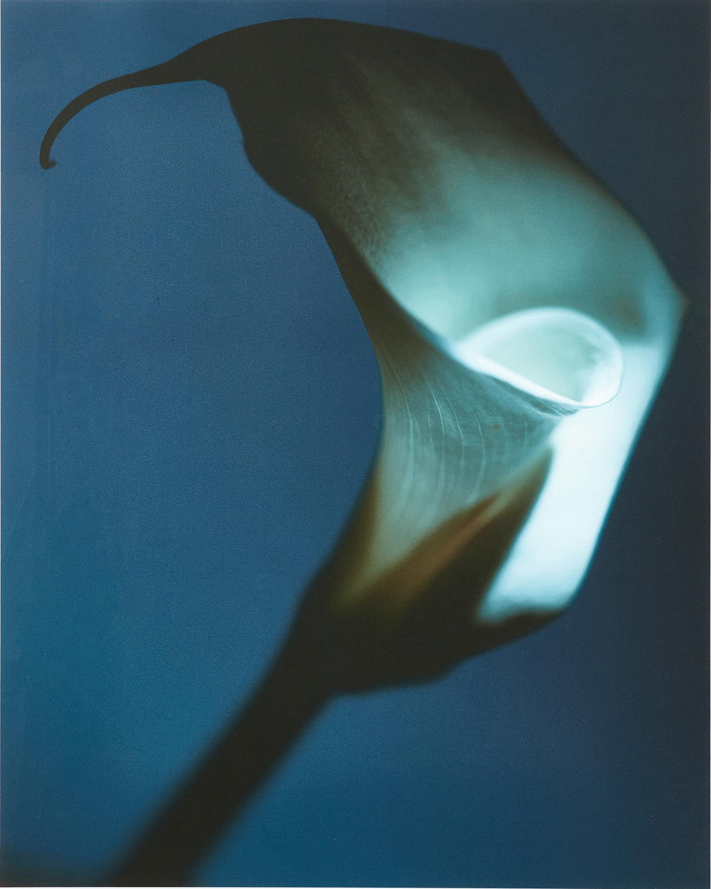 PER ERIK BERGLUND (born 1953), “Kalla mot blå”, signed and dated 1997 ...