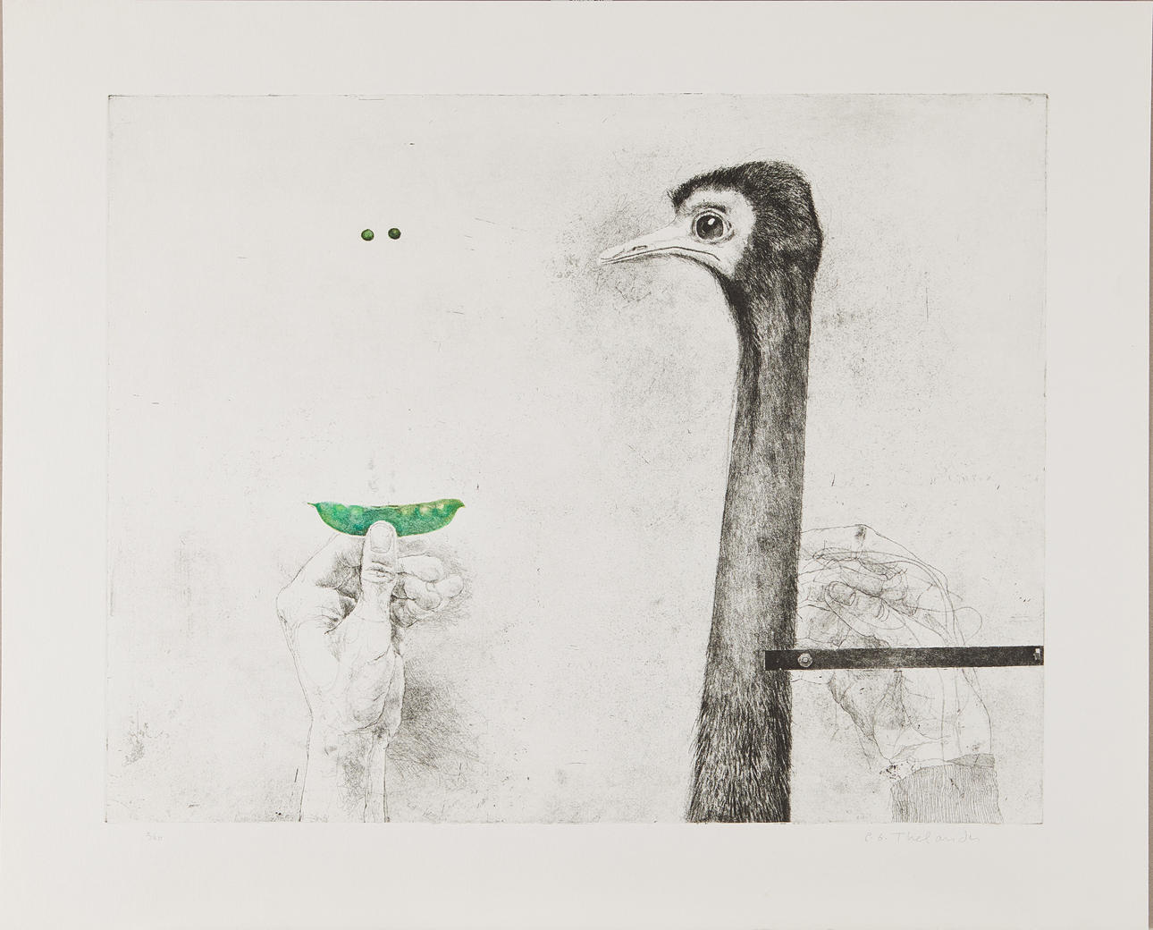 PÄR GUNNAR THELANDER (FÖDD 1936). “How to catch an ostrich”, color ...