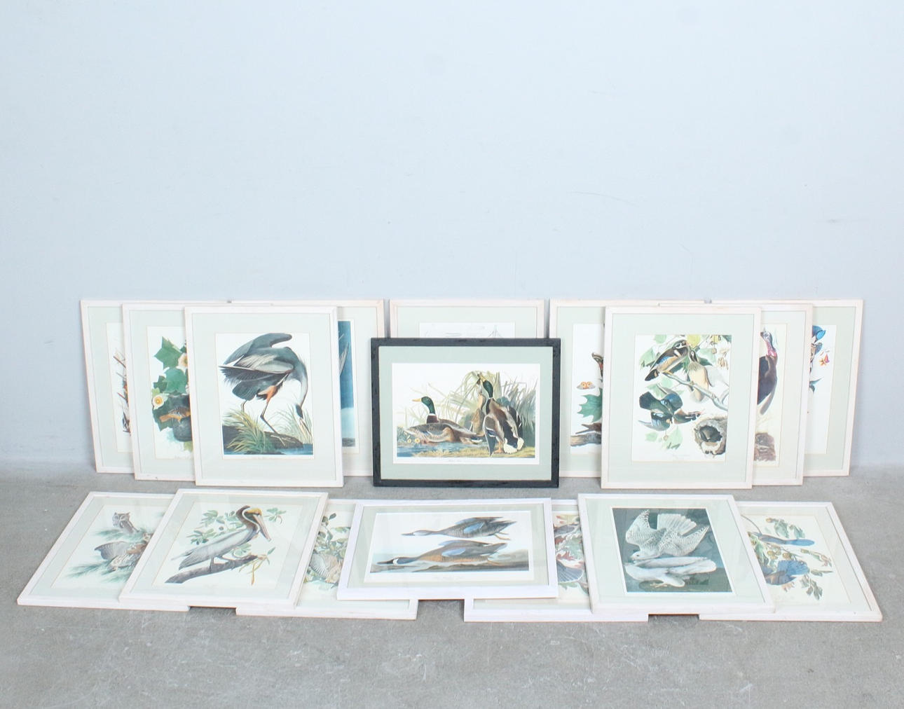 JOHN JAMES AUDUBON (1785-1851). 17 prints, '' The Birds of America ...