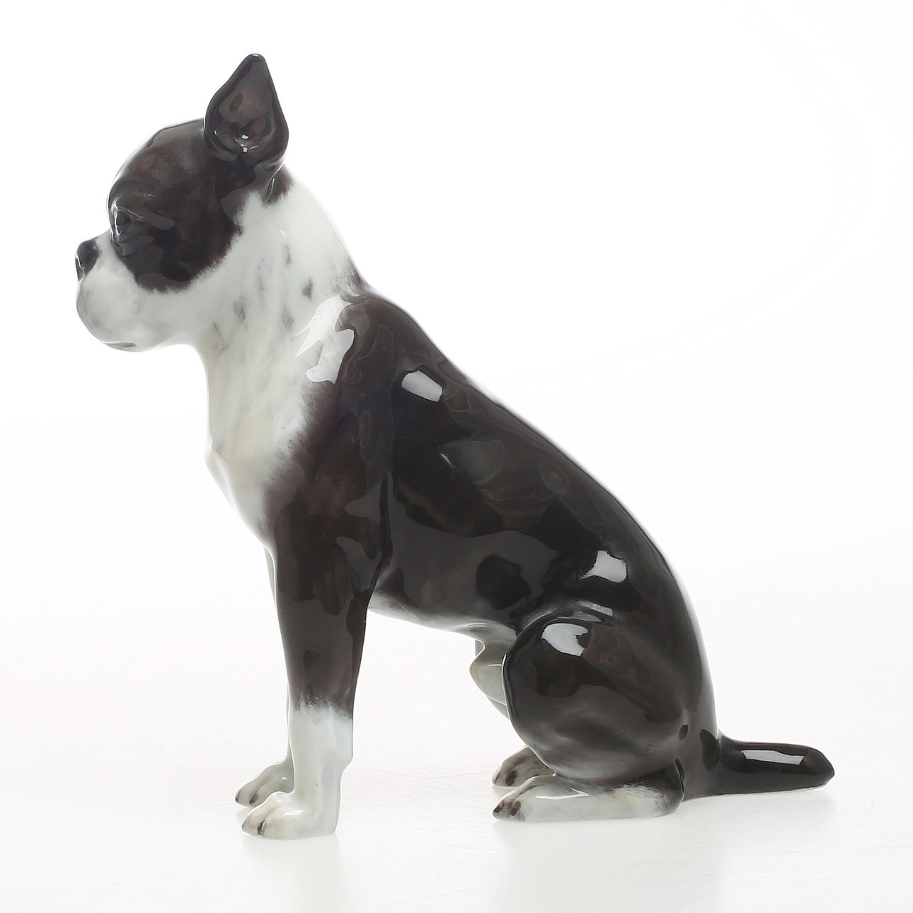 FIGURE, porcelain, Boston Terrier, Fritz Heidenreich, Rosenthal, 20th ...
