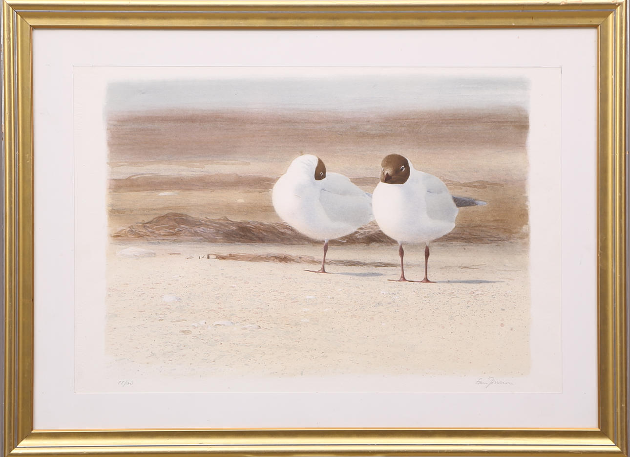 LARS JONSSON. PAINT, color lithography 88/100, Lars Jonsson, seagulls ...
