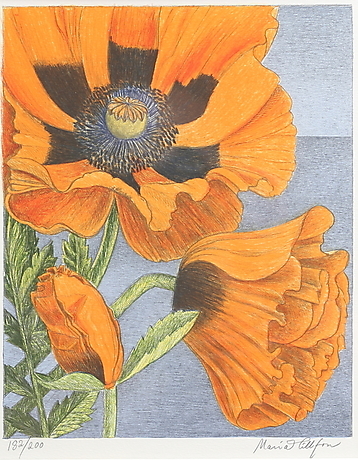 MARIA HILLFON. Poppy. Color lithograph, signed and numbered 182/200 ...