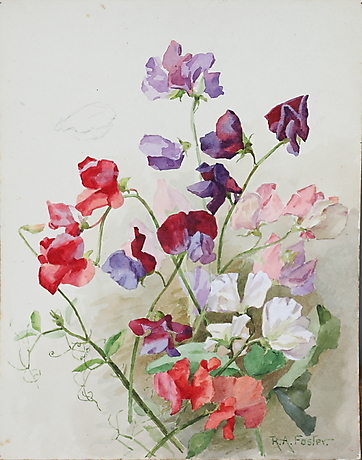 R.A. FOSTER (BRITISH, 20TH CENTURY). STUDY OF SWEET PEAS. Art ...