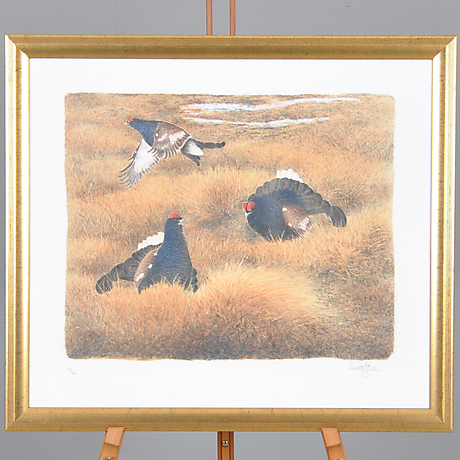 BERTIL LIND. Lithography, sea urchins. Art - Engravings & Prints ...