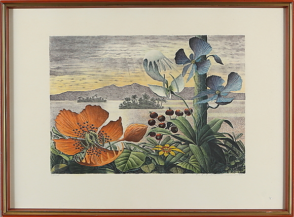 KARL AXEL PEHRSON. "Views from Amlapalasi", color lithograph, signed ...