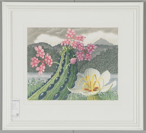 KARL AXEL PERSSON. Oil lithography, 353/385, signed and dated -86. Art ...