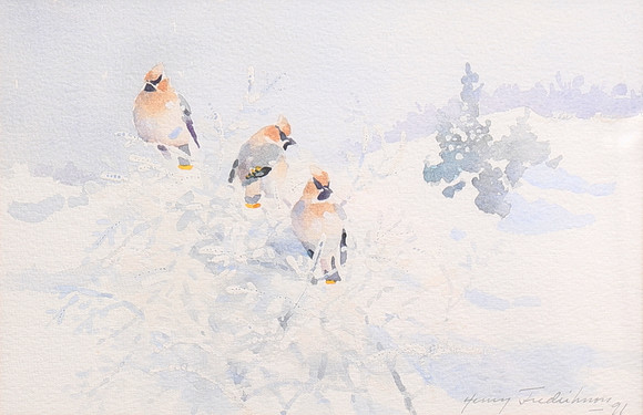 HENRY FREDRIKSSON. Silky tails in winter. Watercolor, signed and dated ...