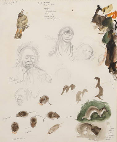 ALF HENRIKSSON/BJÖRN BERG. Portrait and mice, drawing. Art - Drawings - Auctionet