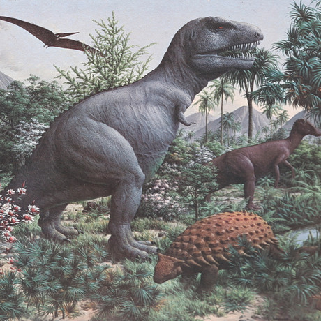 TAVLA, "The age of reptiles", Peabody Museum of Natural History, 1966 ...