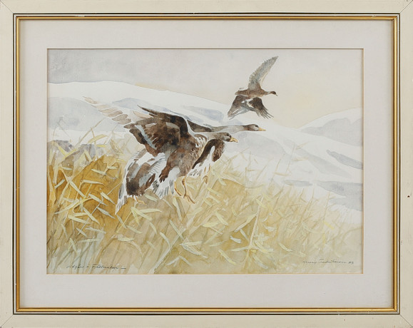 HENRY FREDRIKSSON. "Vildgäss i fjällnatur", akvarell, signerad och ...
