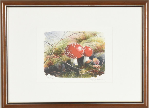 NILS ERIK JOHANSSON. Color lithography. Art - Engravings & Prints ...