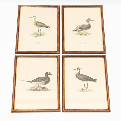 VON WRIGHT, 4 pcs, bird posters, wading birds. Art - Other - Auctionet