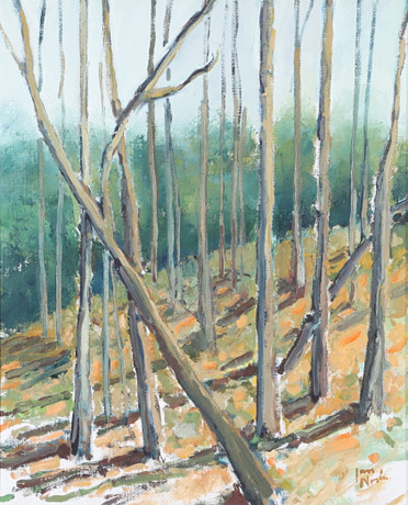 JAN NORÉN. "Vår på Kullaberg", olja på duk, signerad. Konst - Måleri ...