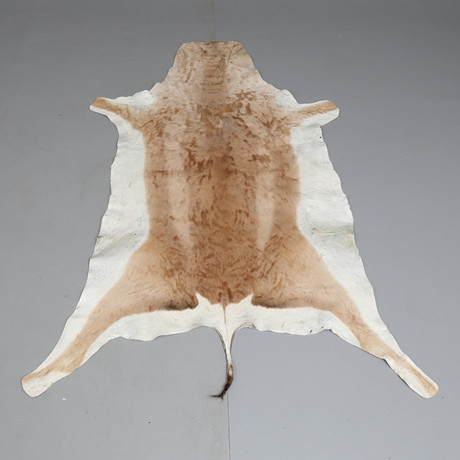 GAZELLE SKIN, Kenya, 1976. Tribal art - Auctionet