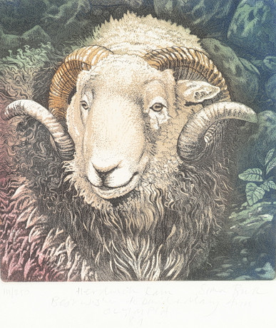 SIMON BULL. HERWICK RAM. Art - Engravings & Prints - Auctionet