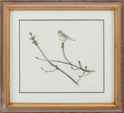 LARS JONSSON. Bird on a branch, color lithograph, signed and numbered ...