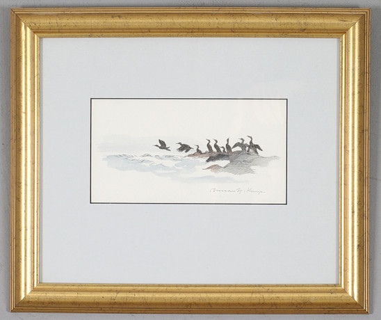 BRUSEWITZ GUNNAR. Skarv, akvarell på papper, signerad. Konst - Måleri ...