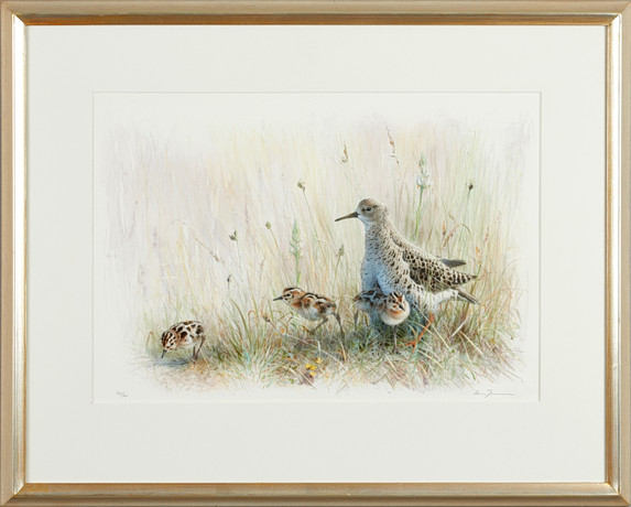 LARS JONSSON. Swamp Hen, signed and numbered 341/360, color lithograph ...