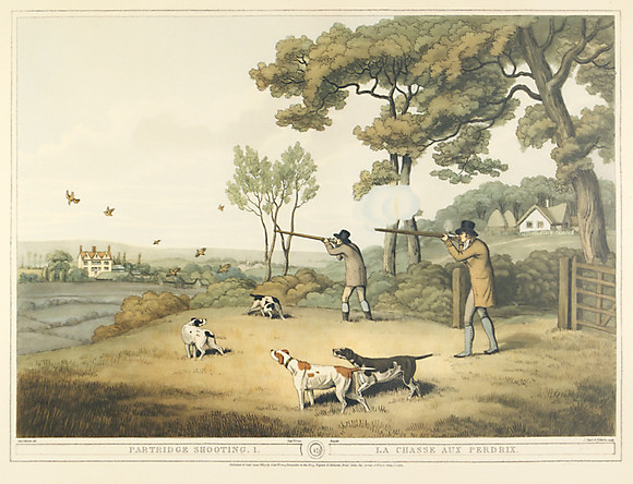 AFTER SAMUEL HOWITT. "Partridge Shooting I.". Colored reproduction ...